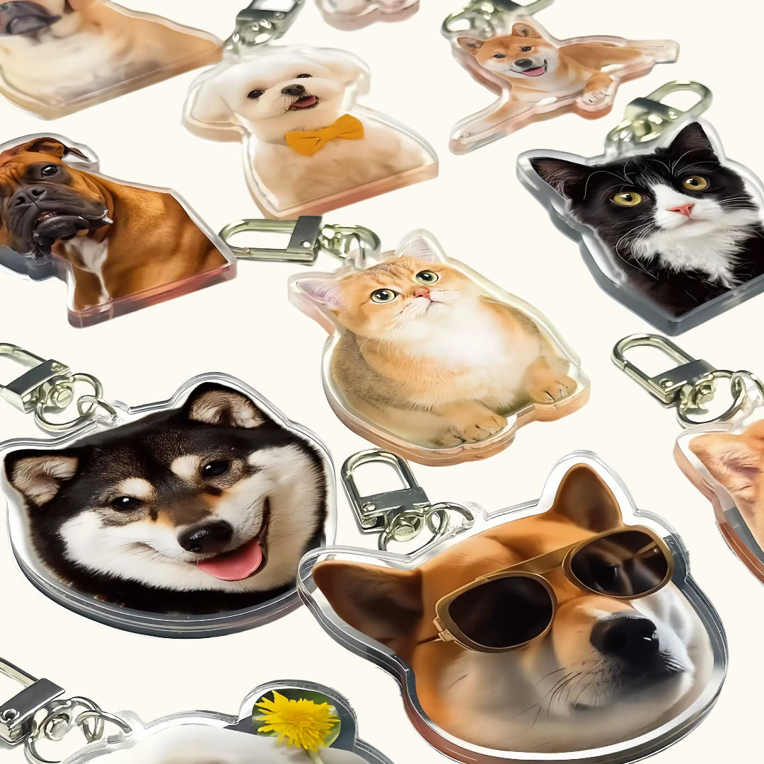 Personalized Acrylic Pet Keychains: Unique Keepsakes for Pet Lovers ...